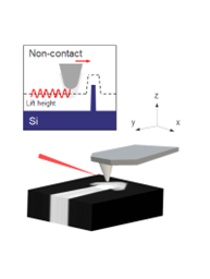 Publications – Celano Lab