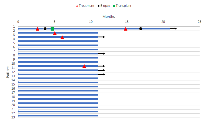 Simple Excel Sheets for Patient Oncoplot and Swimmer Diagrams - CoDe Lab