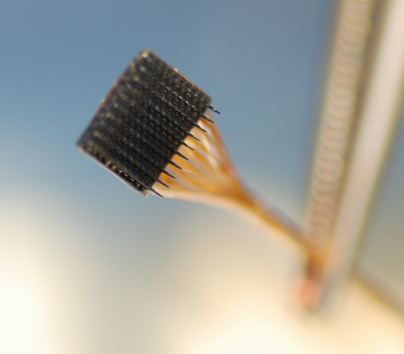 Visual Prosthesis – Neural Engineering Lab