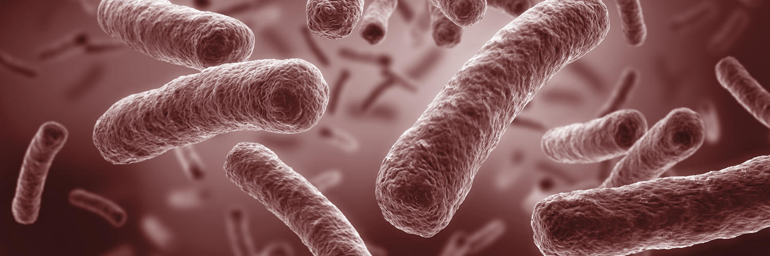 Research – Nielsen Lab