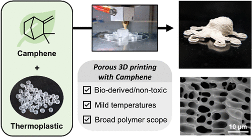 Publications – Self Lab